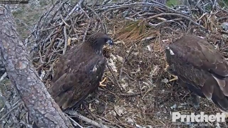 T Minus Eight and Counting | Travels with Gunther and Kara